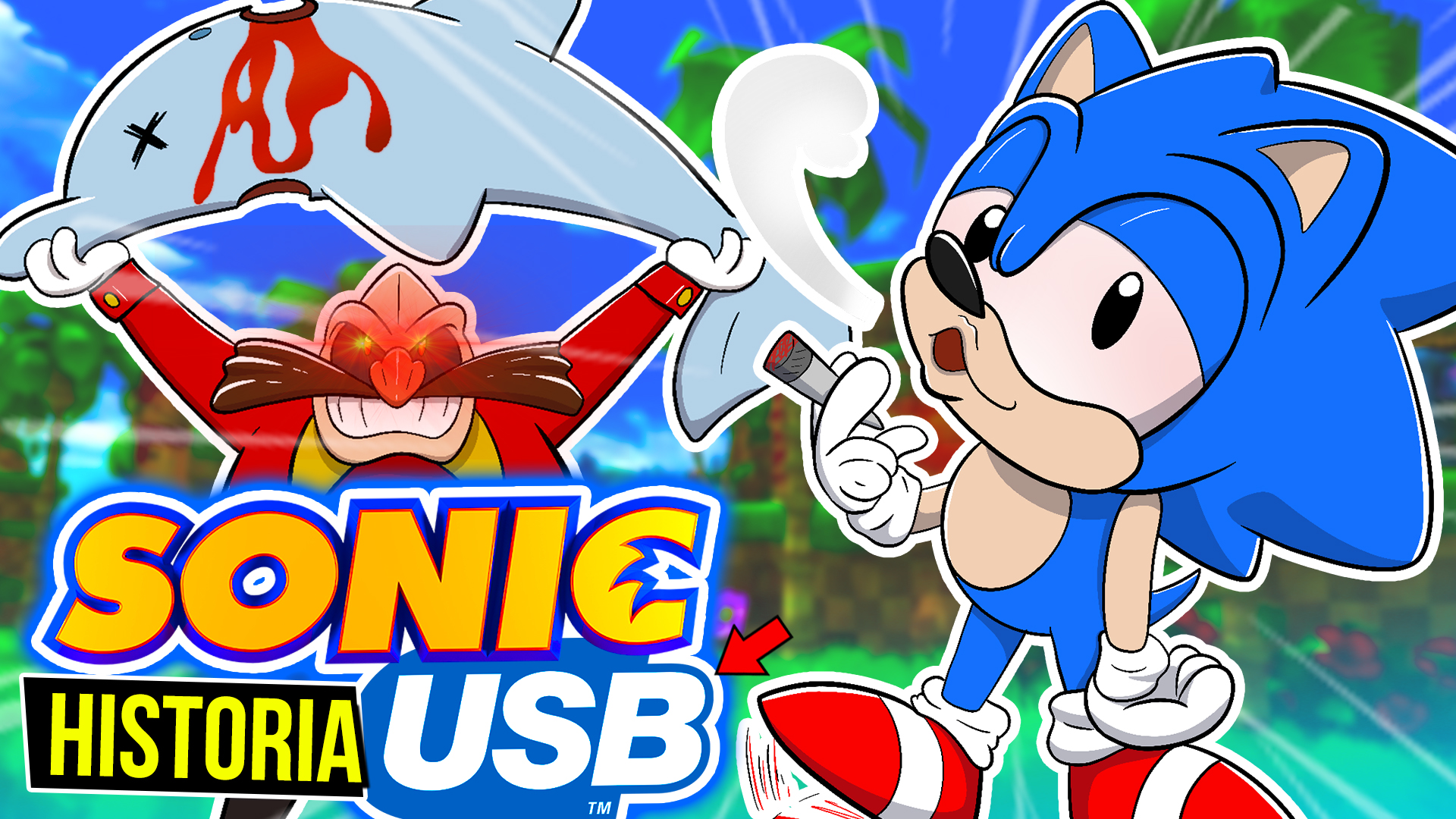 SONIC USB - jogo do Sonic que deve SER BANIDO